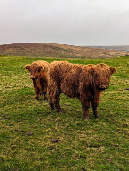 Galloway Travel Guide: 39 Things to do in Galloway - Watch Me See