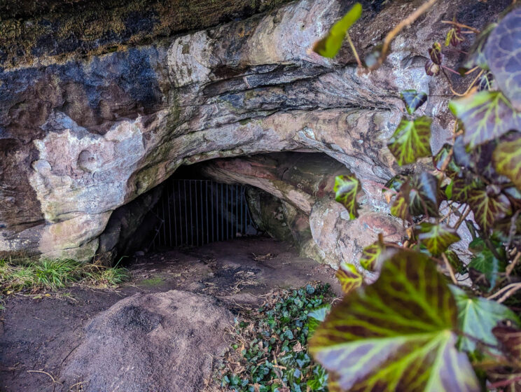 14 Amazing Things to do in Fife - Watch Me See