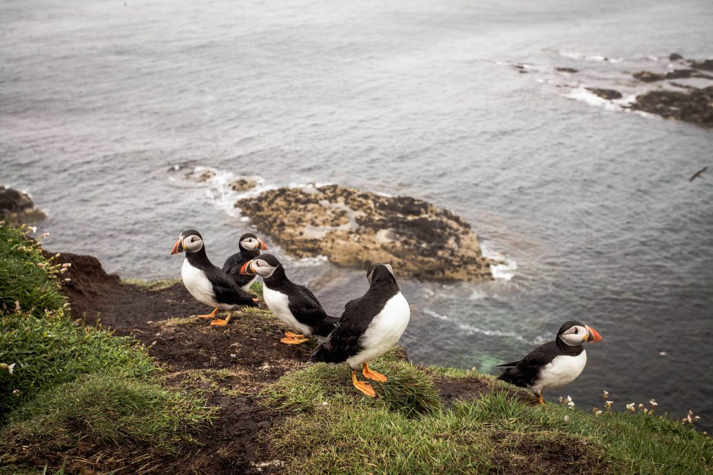 10 Day Trips from Oban [By Car, Guided & Public Transport]