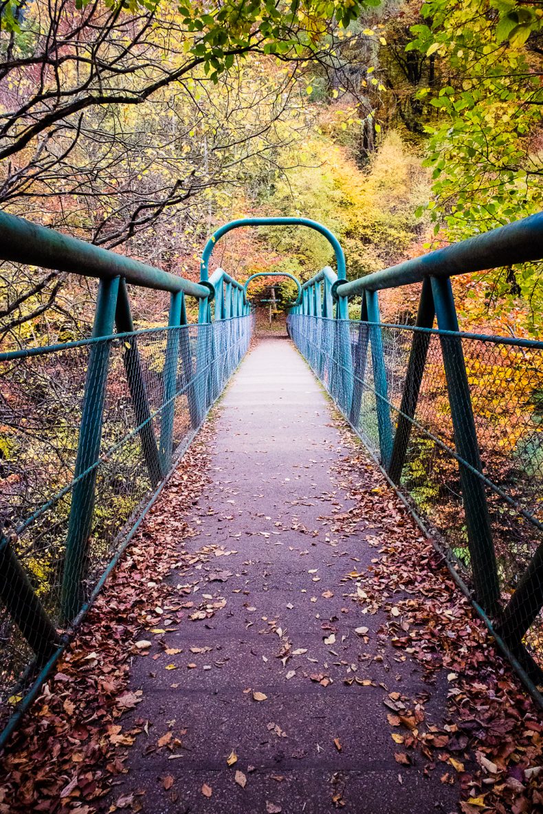 Scotland Autumn & Winter Travel: 10 reasons to visit Scotland in Off Season