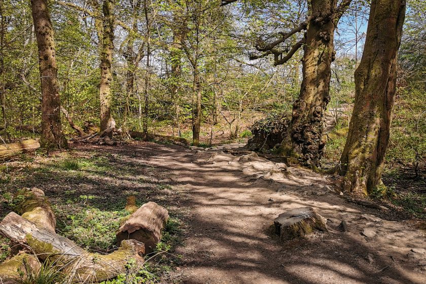 Exploring Dams to Darnley Country Park in Glasgow - Watch Me See