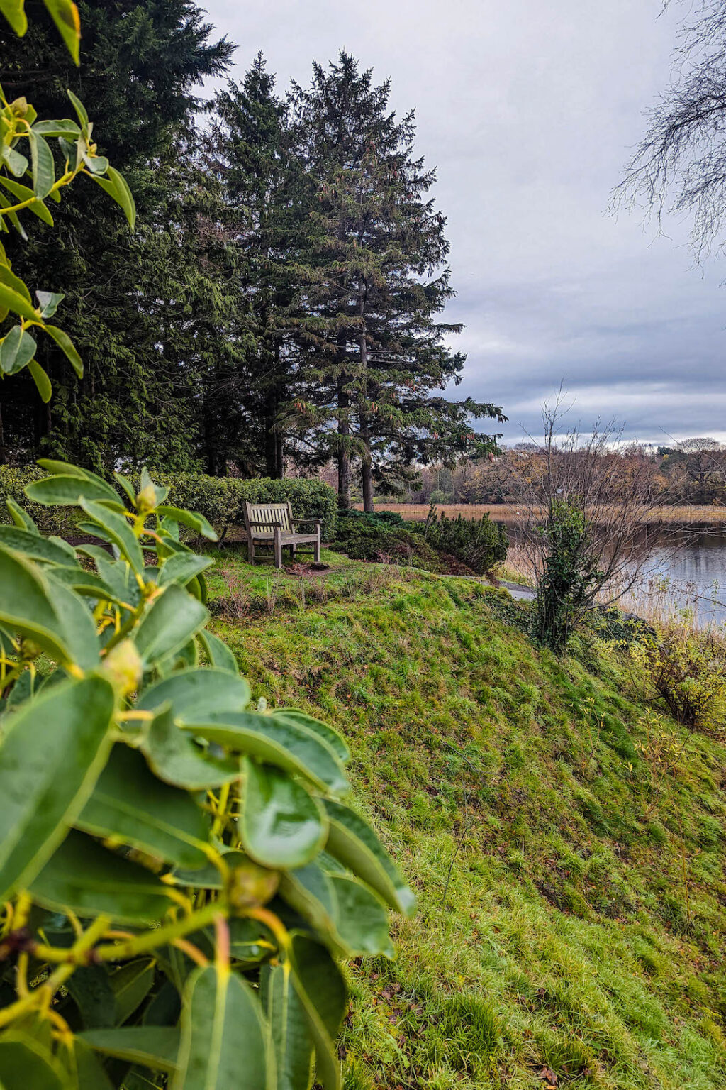 25 Hidden Gems in Edinburgh Off the Beaten Path - Watch Me See