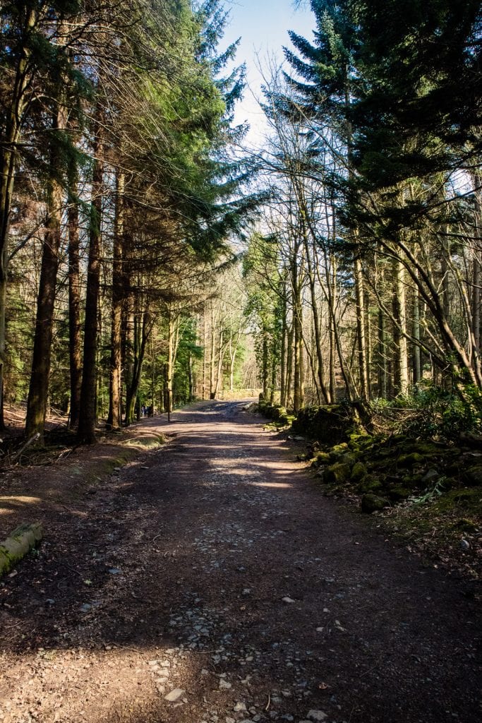 Maspie Den: An easy walk in the Lomond Hills from Falkland