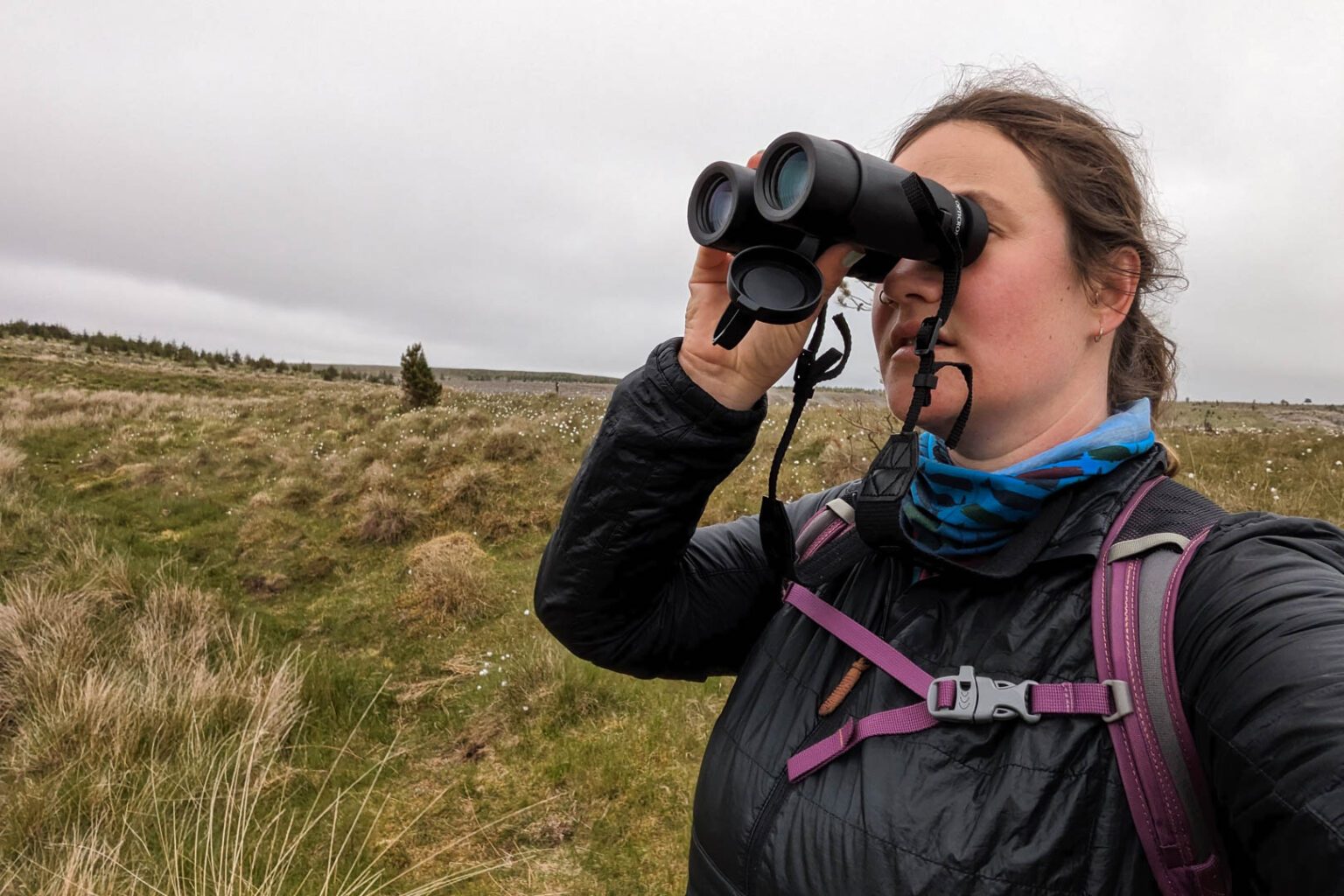 The Flow Country: Learning about Blanket Bogs & Highland Clearances