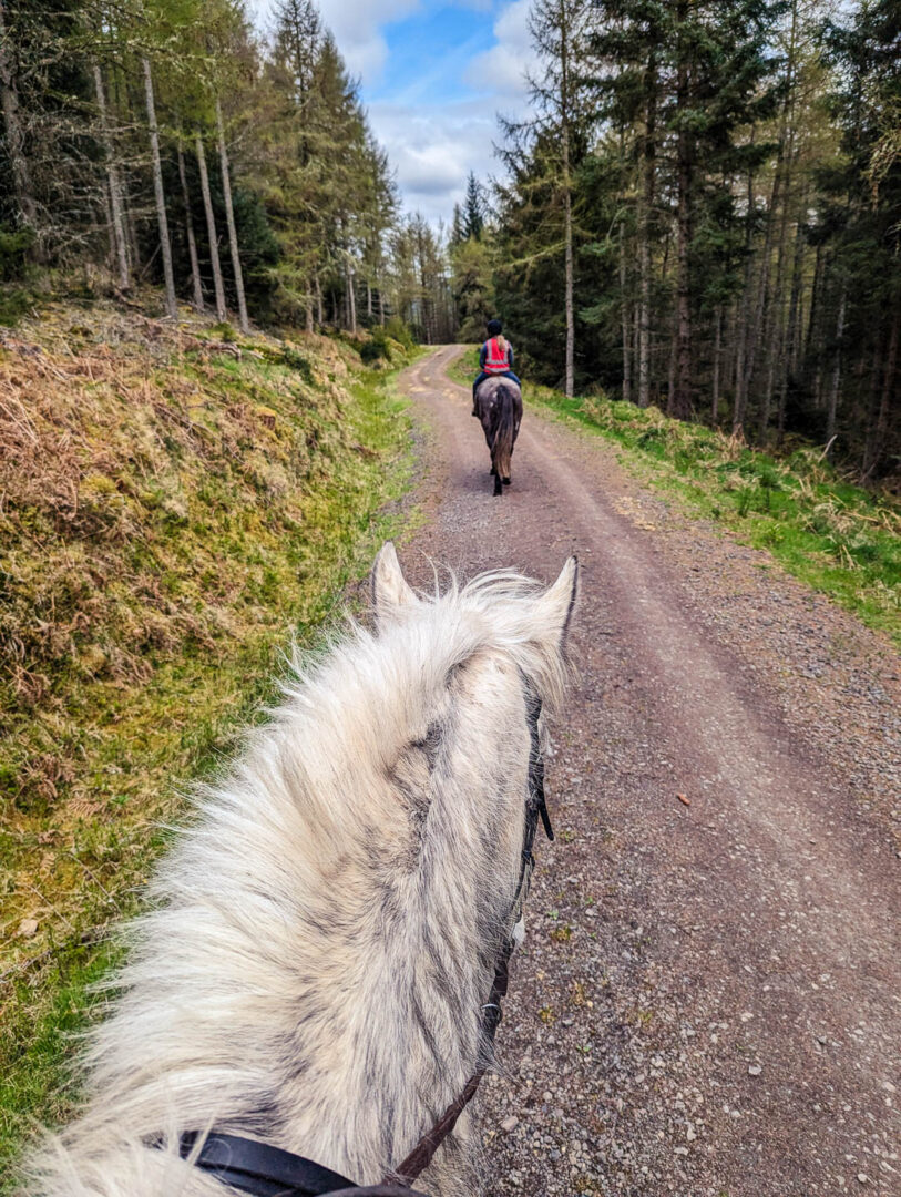 Borders Travel Guide: 23 Things to do in the Scottish Borders - Watch ...