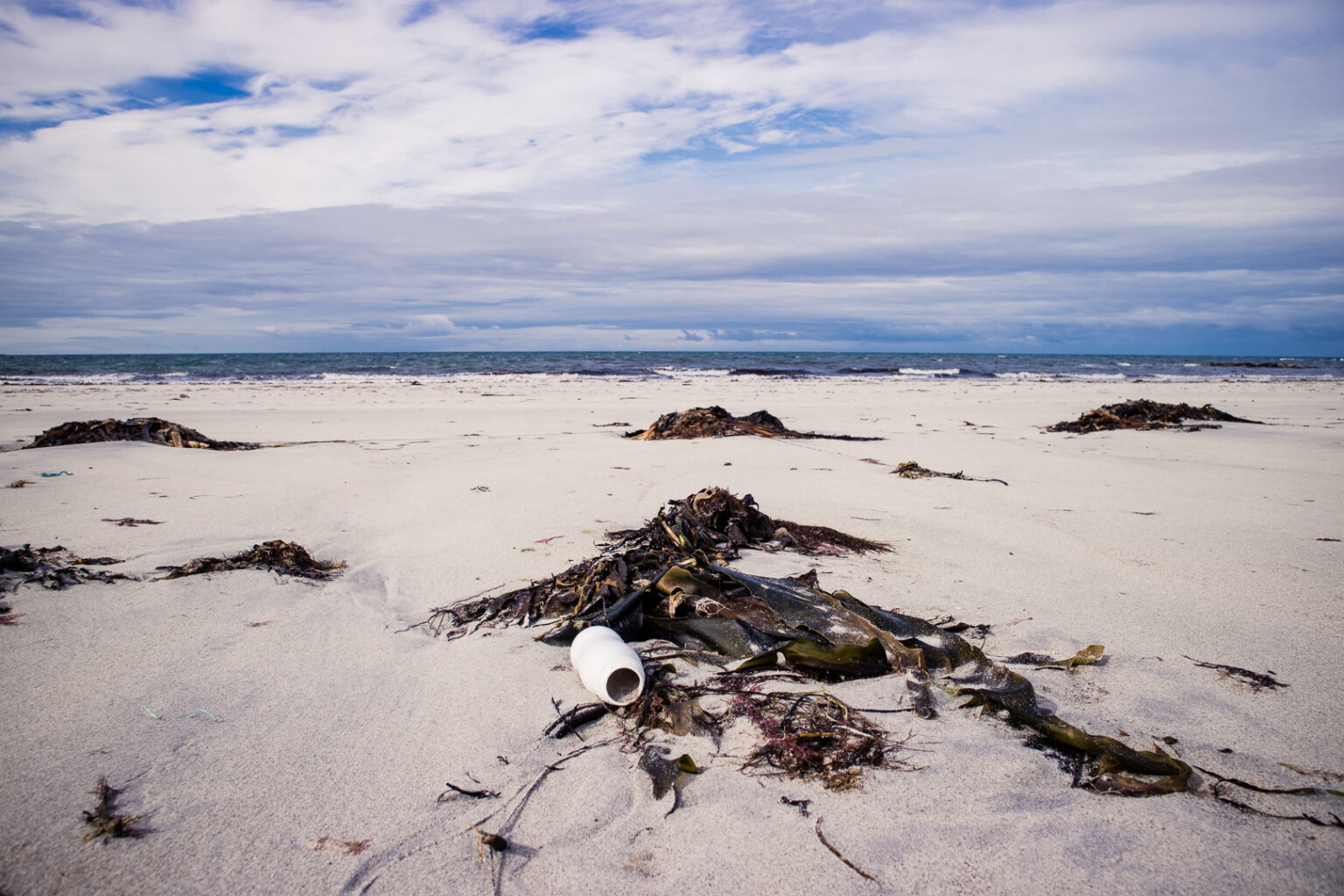 19 Tips for Sustainable and Responsible Tourism in Scotland