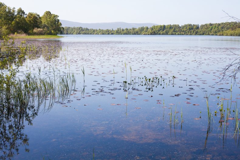 Hiking in the Royal Deeside: A Loop Trail at Muir of Dinnet Nature Reserve