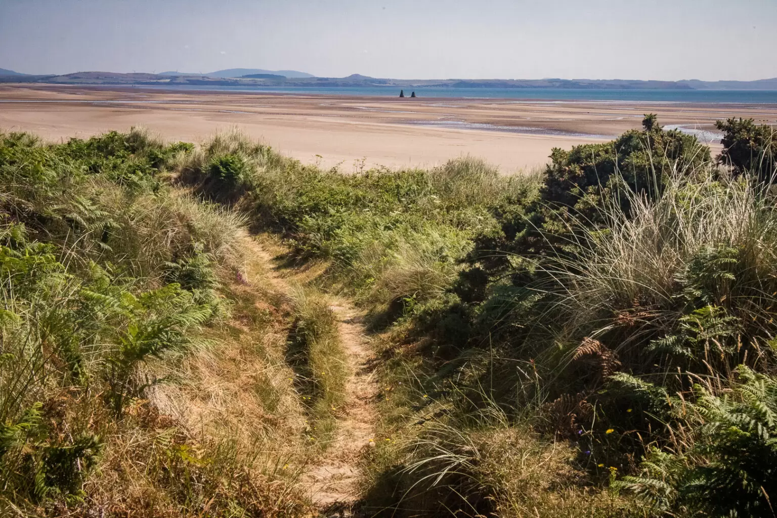 Galloway Travel Guide: 39 Things to do in Galloway - Watch Me See