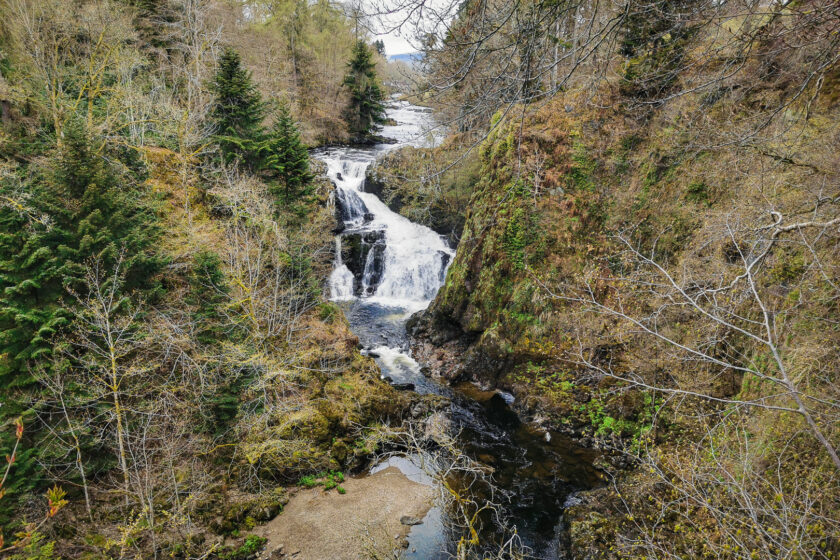 Choose your Adventure: 13 Things to do in Angus - Watch Me See