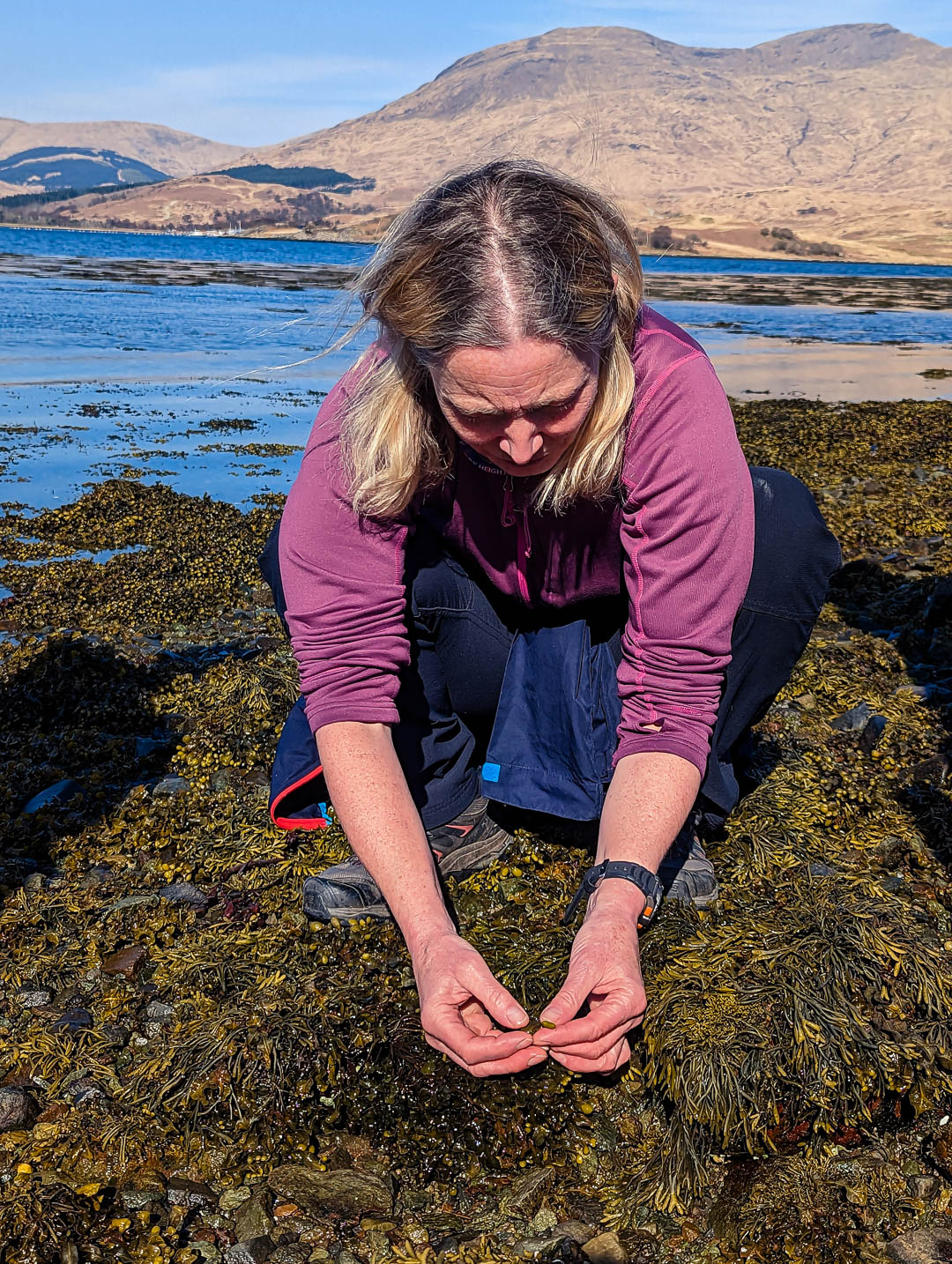Sailing in Scotland: Tips for a Sailing Holiday on the West Coast