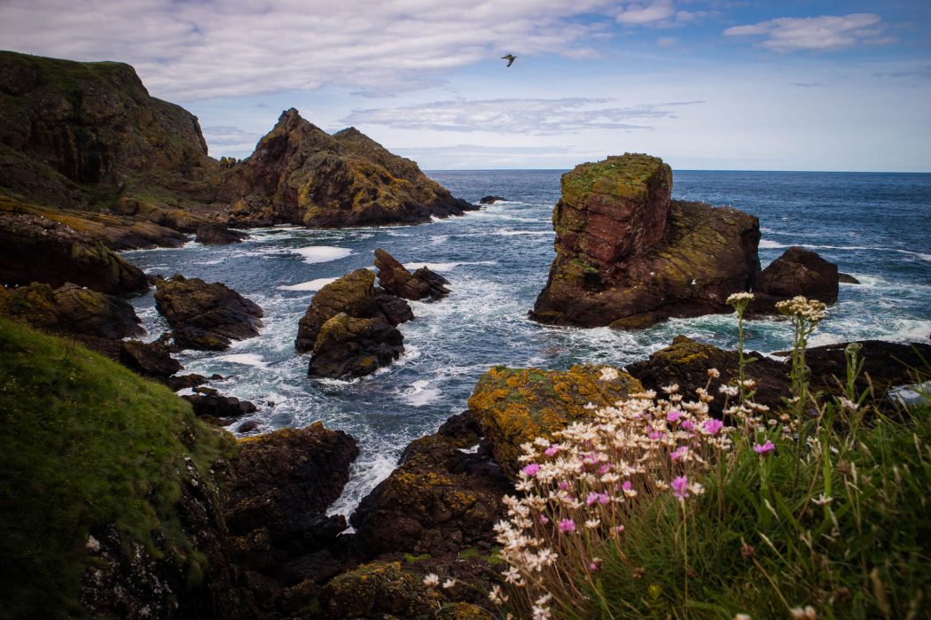 One Week in South Scotland: Scottish Borders, Dumfries and Galloway