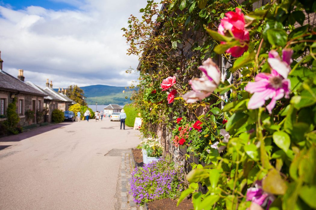 A Day in the West Highlands with Timberbush Tours