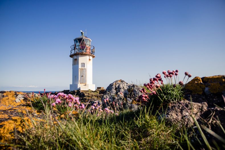 West Island Way: Solo Hiking & Wild Camping on Bute