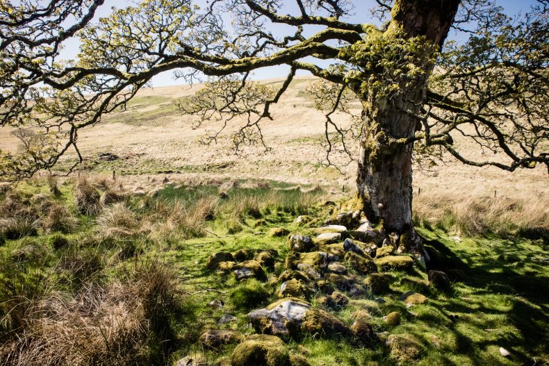 West Island Way: Solo Hiking & Wild Camping on Bute