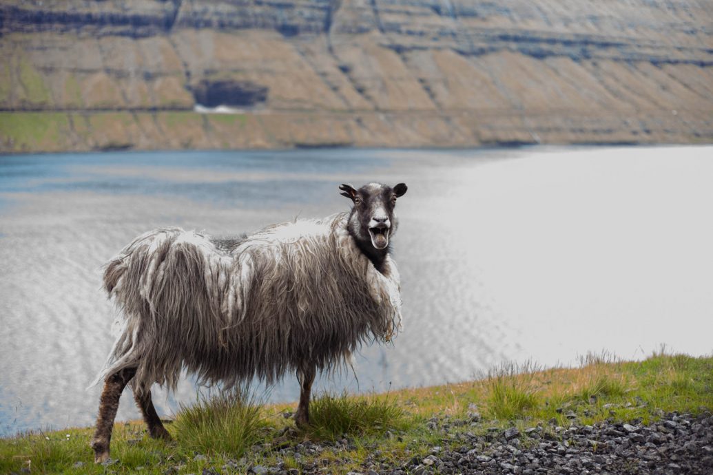 30 Photos That Make you Fall in Love with the Faroe Islands