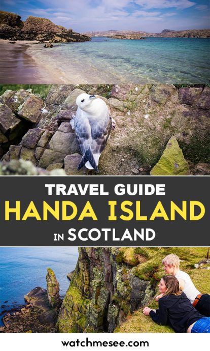 Welcome to Paradise: A Day Trip to Handa Island - Watch Me See